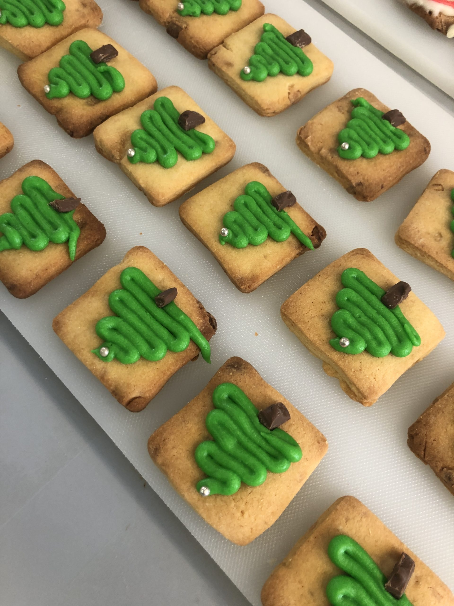Technology students test cookies with Poynton Residents | Te Reo o Te Roto