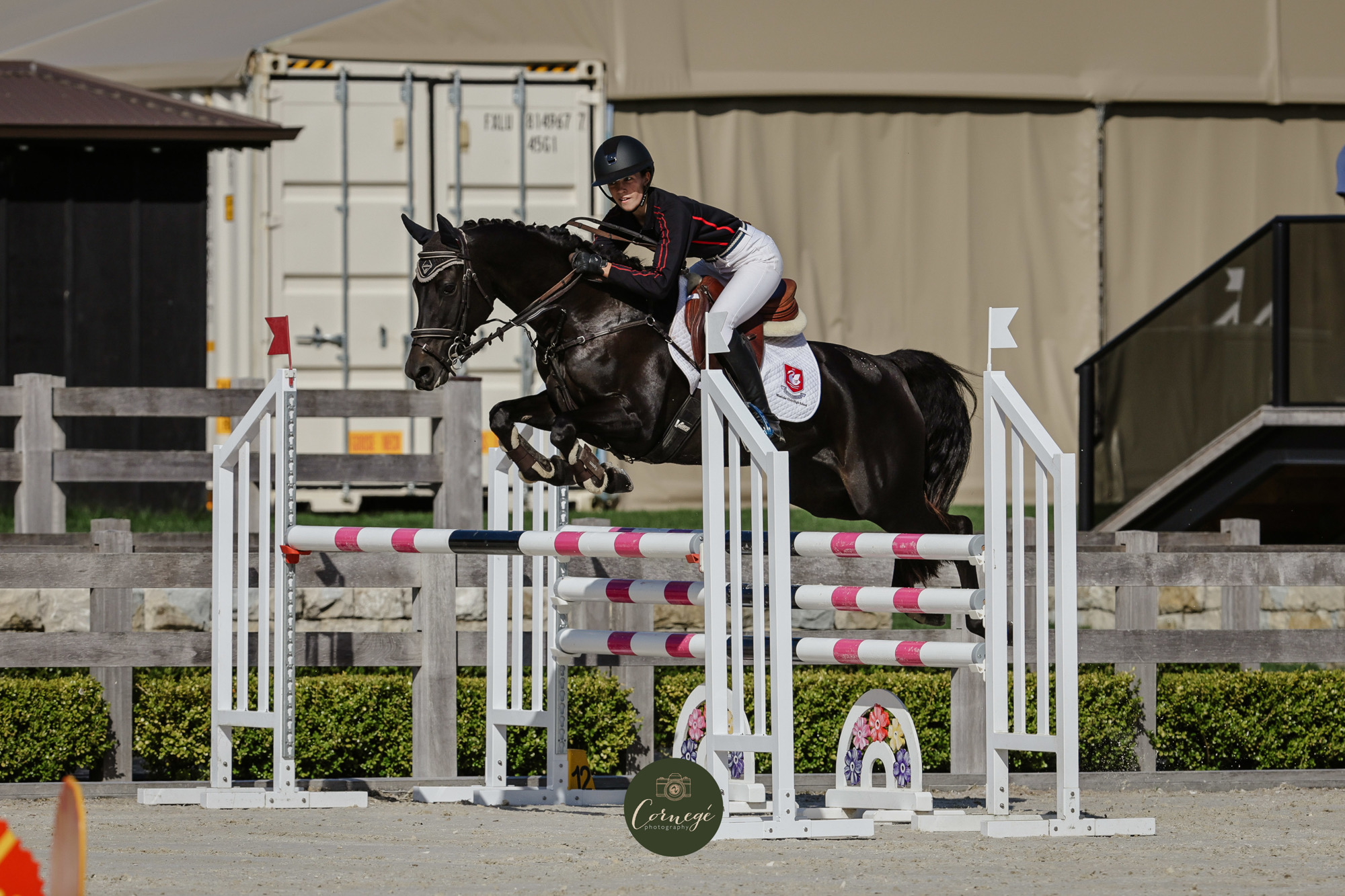 Pegasus Cup Show Jumping competition | Te Reo o Te Roto