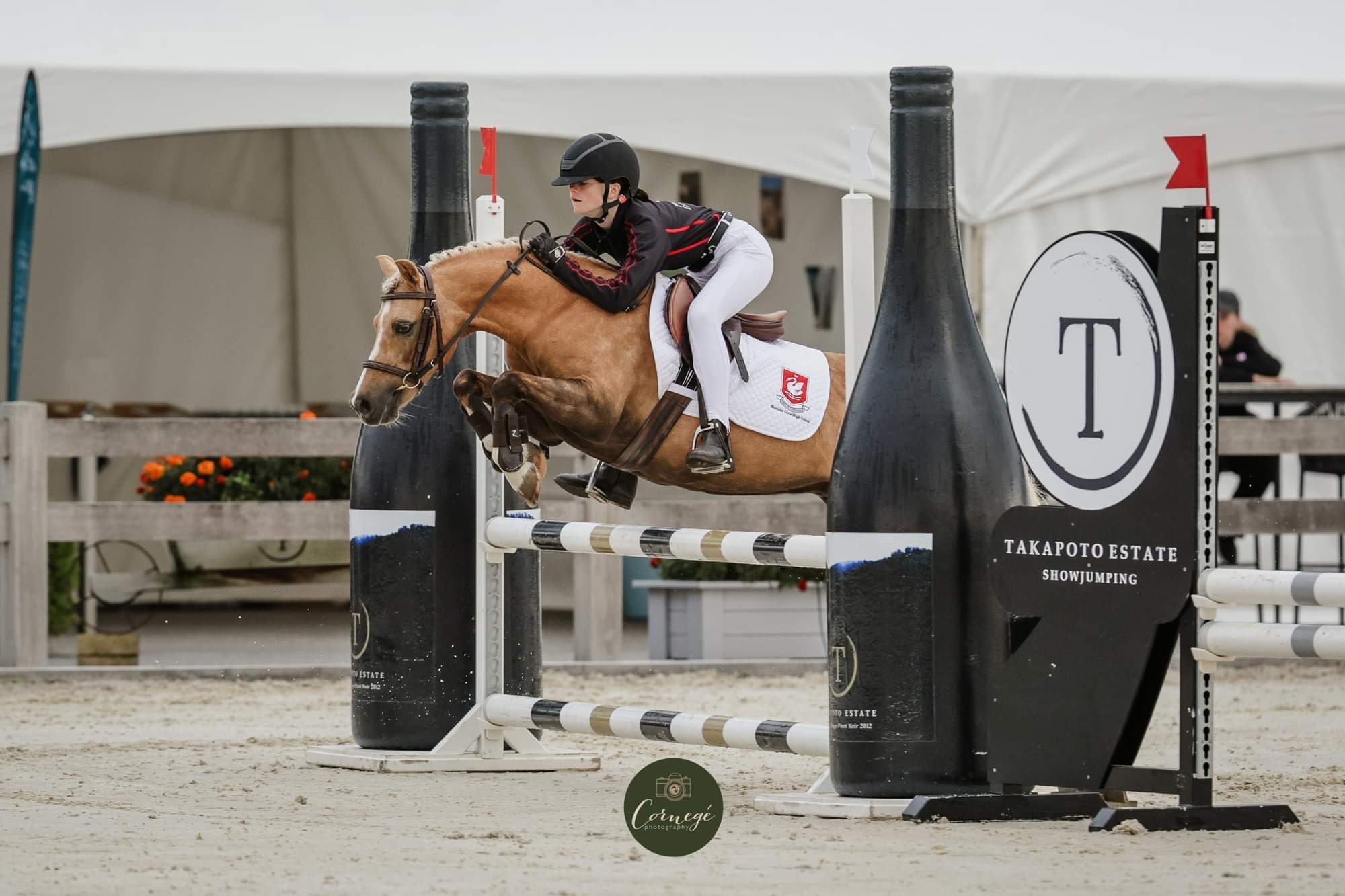 Pegasus Cup Show Jumping competition | Te Reo o Te Roto