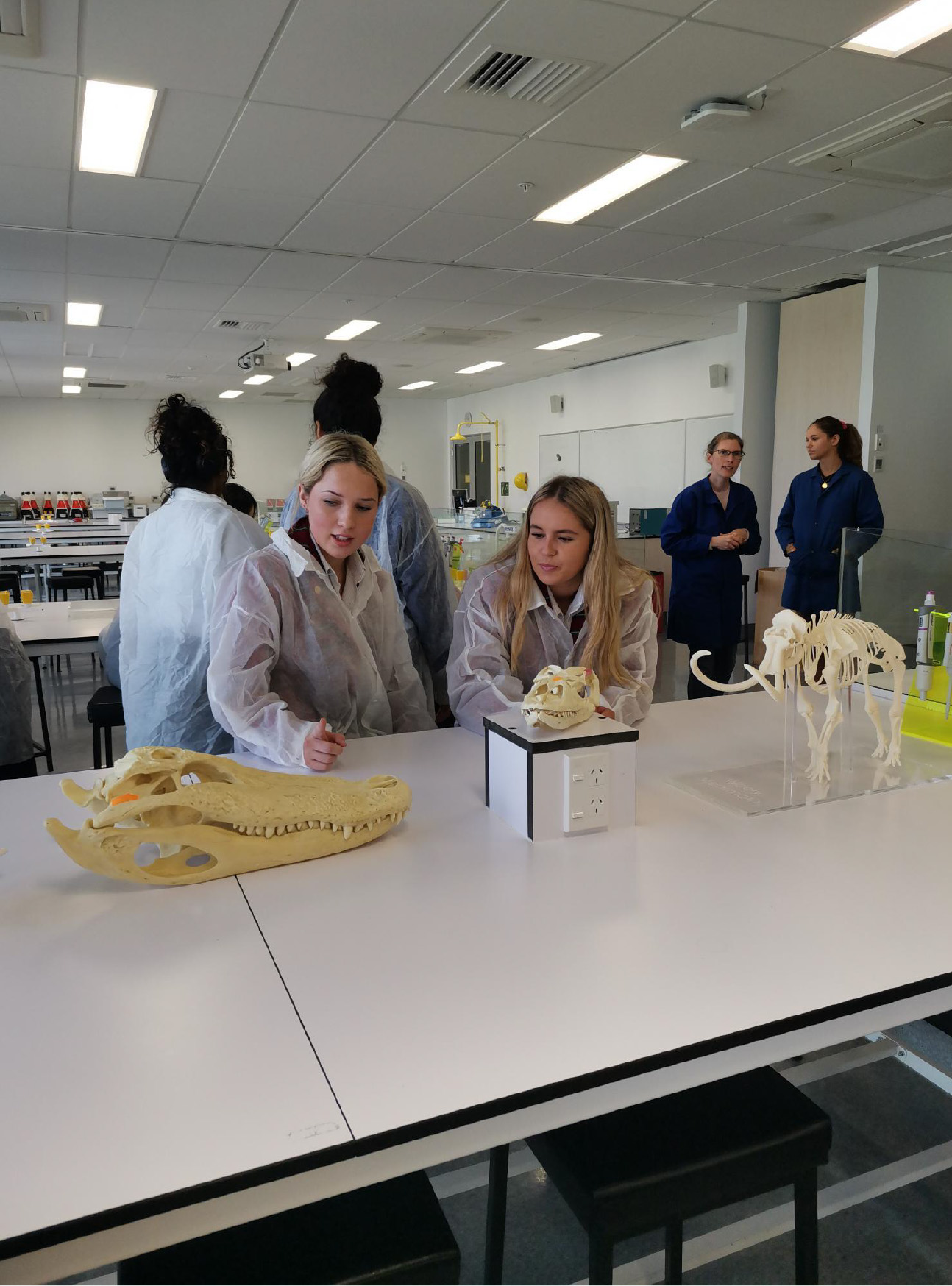 Inspiring future STEM careers at Health and Science experience day | Te ...