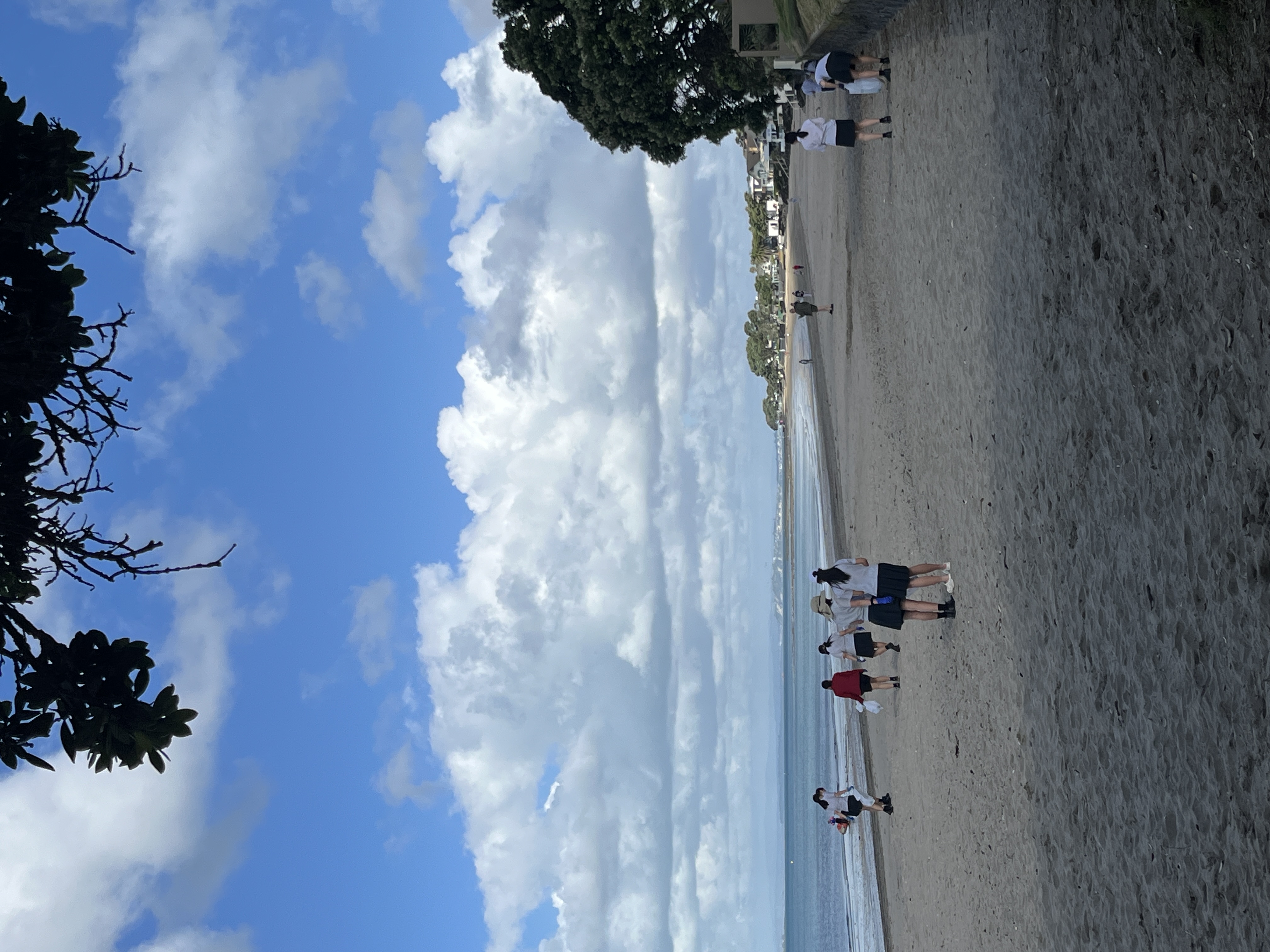 Beach Clean-Up | Te Reo o Te Roto